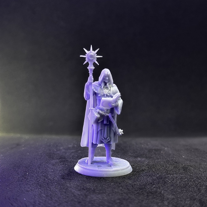 3D Print of Fallen Cleric by plaguemonk