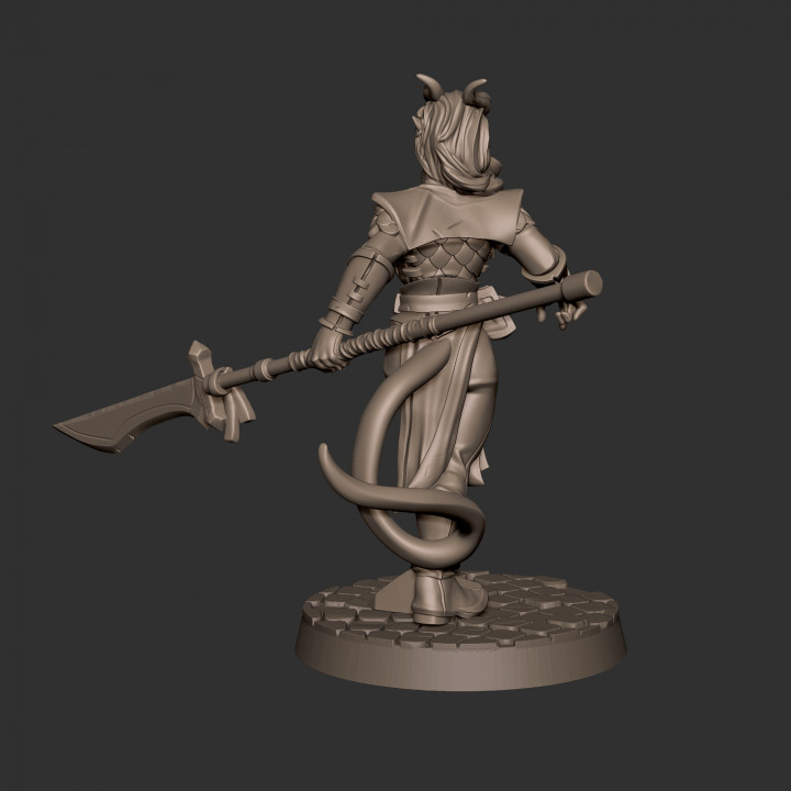 3D Printable Tiefling Fighter by Bite the Bullet