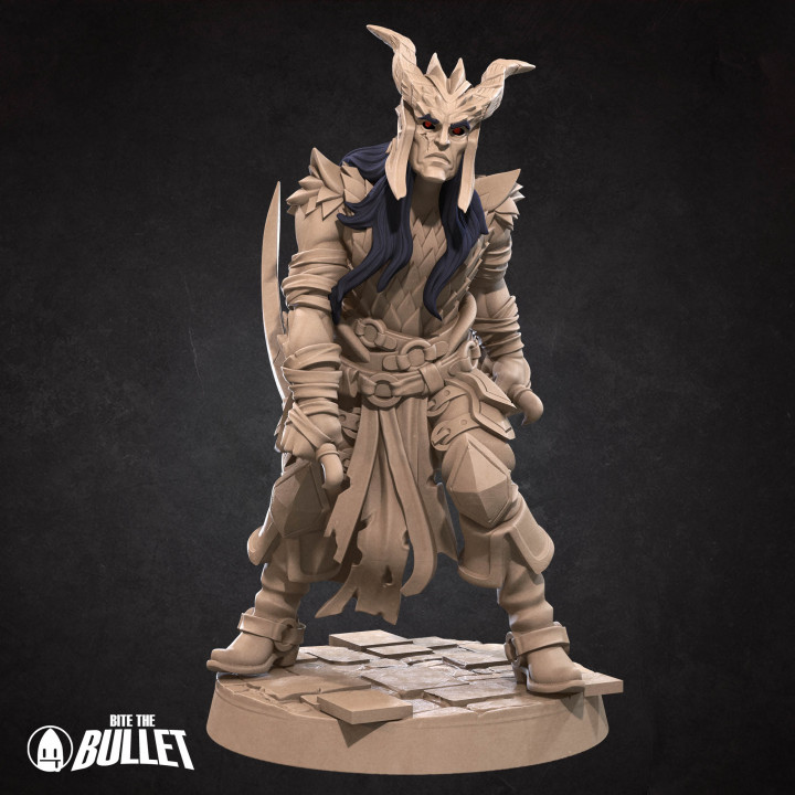 3D Printable Tiefling Rogue by Bite the Bullet