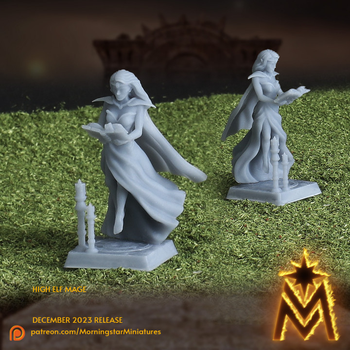 3D Printable High Elf Mage | 32mm Scale Presupported by Morningstar ...
