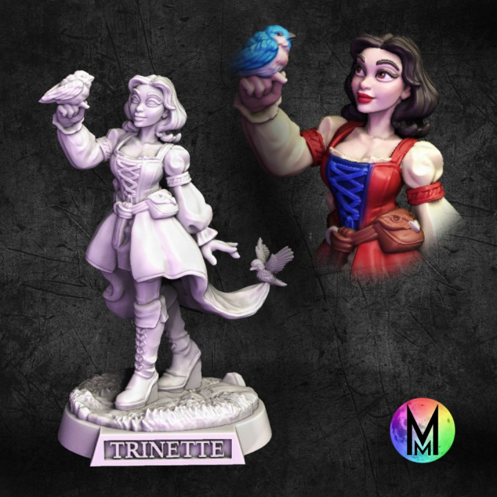 3D Printable Princess set - Fairytale Princess Pack ( fantasy princess ...