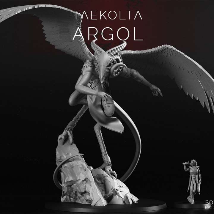 3D Printable Taekolta - Argol by Solwyte Studio
