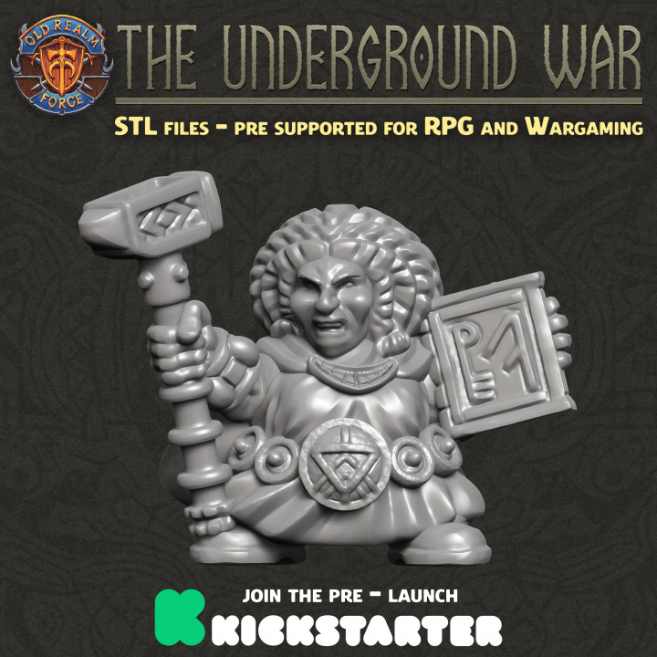 3D Printable Classic Dwarf Rune Priestess by Old Realm Forge