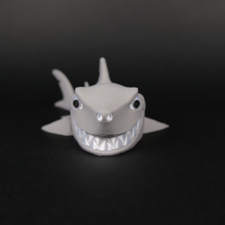 3D Printable Bro Megalodon Shark - Print-in-Place | STL file for 3D ...