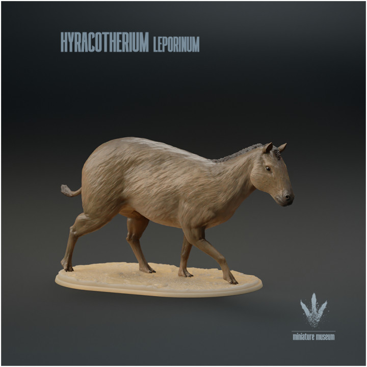 3D Printable Hyracotherium leporinum : The Hyrax-like Beast by ...