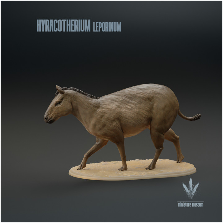 3D Printable Hyracotherium leporinum : The Hyrax-like Beast by ...