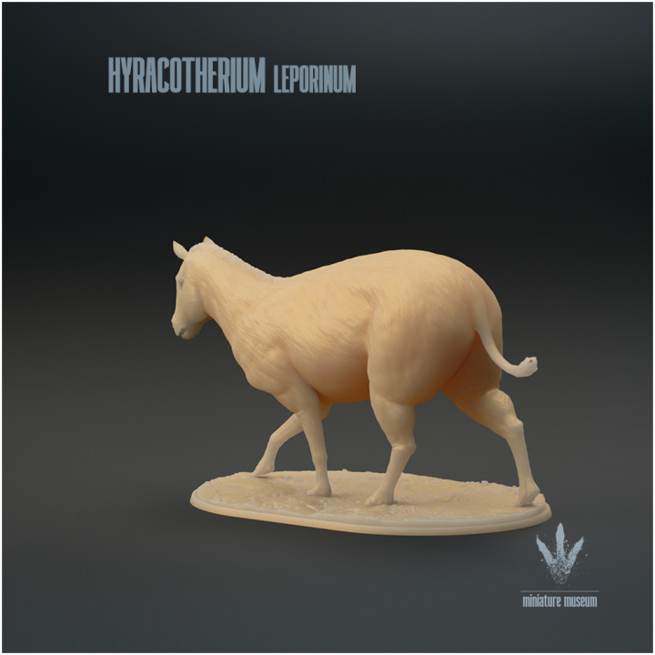 3D Printable Hyracotherium leporinum : The Hyrax-like Beast by ...