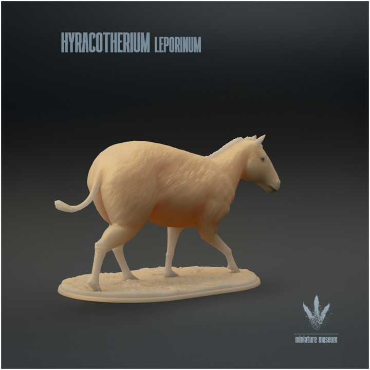 3D Printable Hyracotherium leporinum : The Hyrax-like Beast by ...