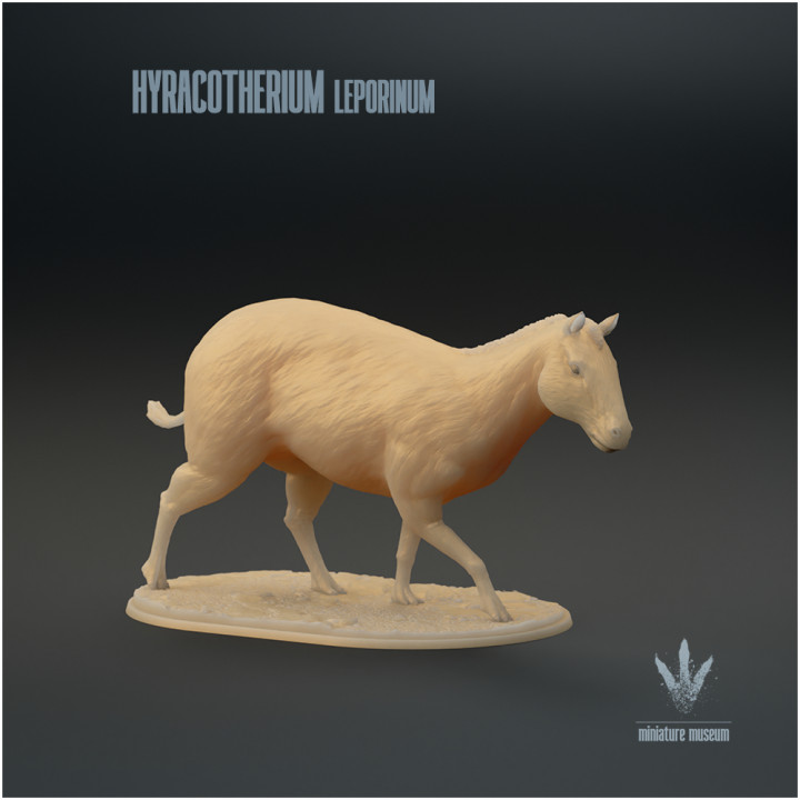 3D Printable Hyracotherium leporinum : The Hyrax-like Beast by ...