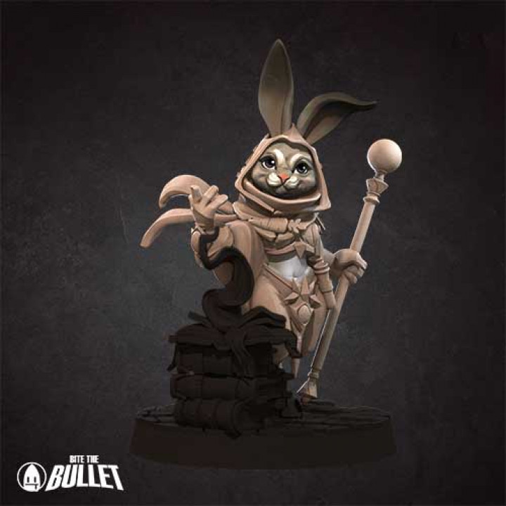 3D Printable Harengon Wizard by Bite the Bullet