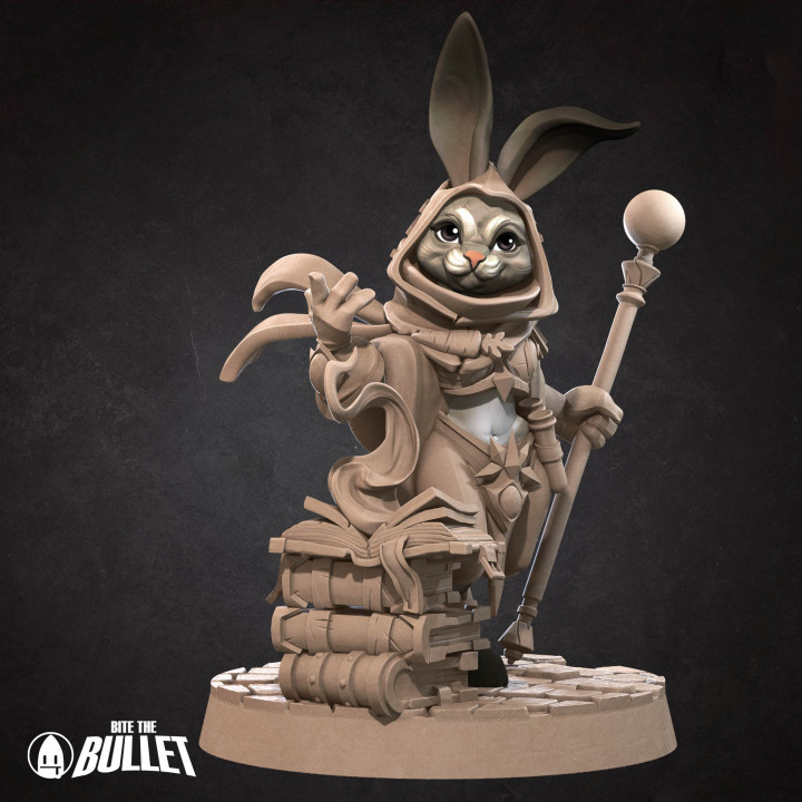 3D Printable Harengon Wizard by Bite the Bullet
