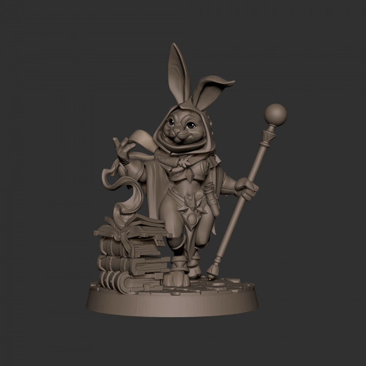 3D Printable Harengon Wizard by Bite the Bullet