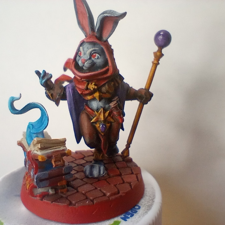 3D Print of Harengon Wizard by botud