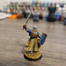 3D Printable Fantasy Fillers - Hero Questing Knight on Foot - Highlands ...