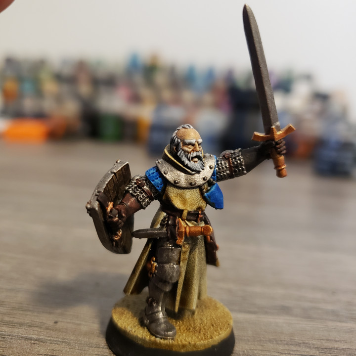 3D Print of Fantasy Fillers - Hero Questing Knight on Foot - Highlands ...