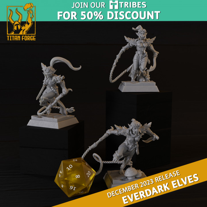 3D Printable Everdark Elves Assassins by Titan Forge Miniatures
