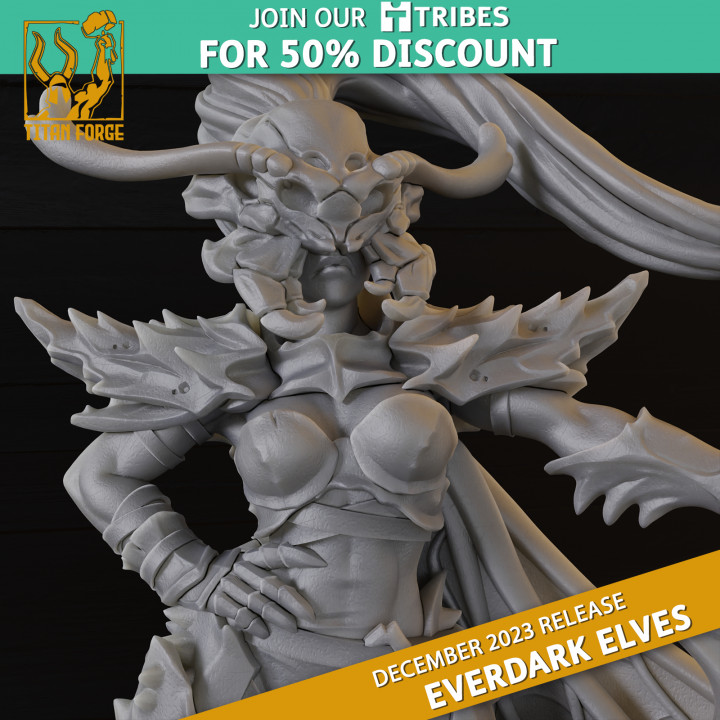 3D Printable Everdark Elves Beast Master by Titan Forge Miniatures