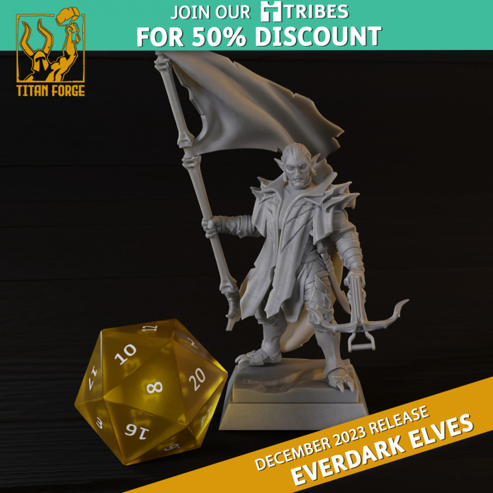 3D Printable Everdark Elves Black Ark Corsairs by Titan Forge Miniatures