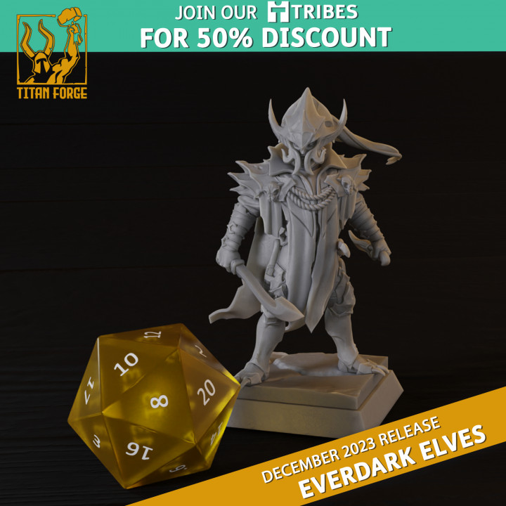 3D Printable Everdark Elves Black Ark Corsairs by Titan Forge Miniatures