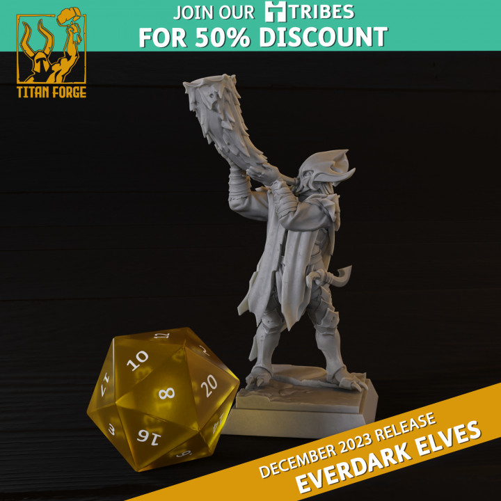 3D Printable Everdark Elves Black Ark Corsairs by Titan Forge Miniatures