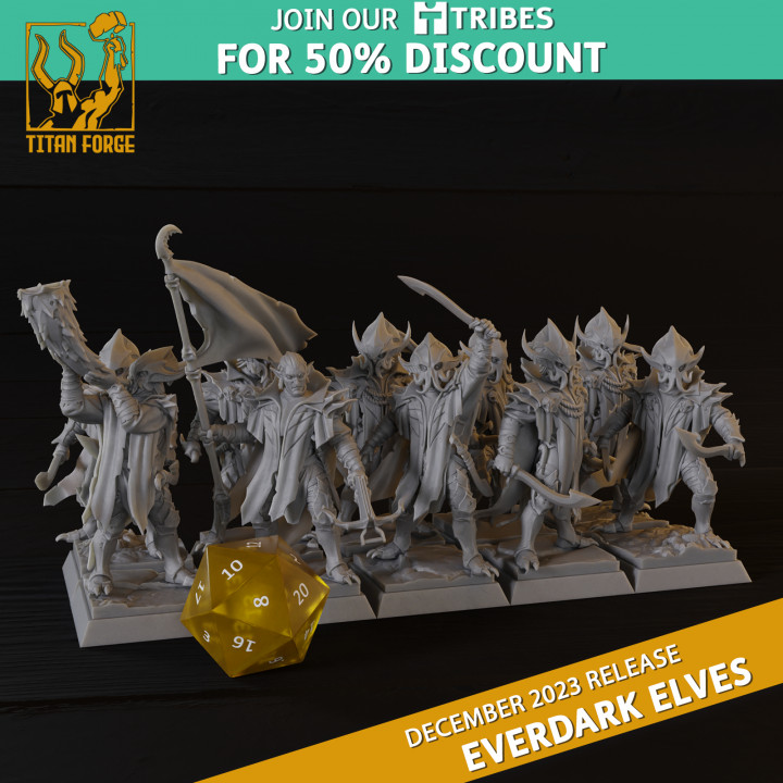 3D Printable Everdark Elves Black Ark Corsairs by Titan Forge Miniatures