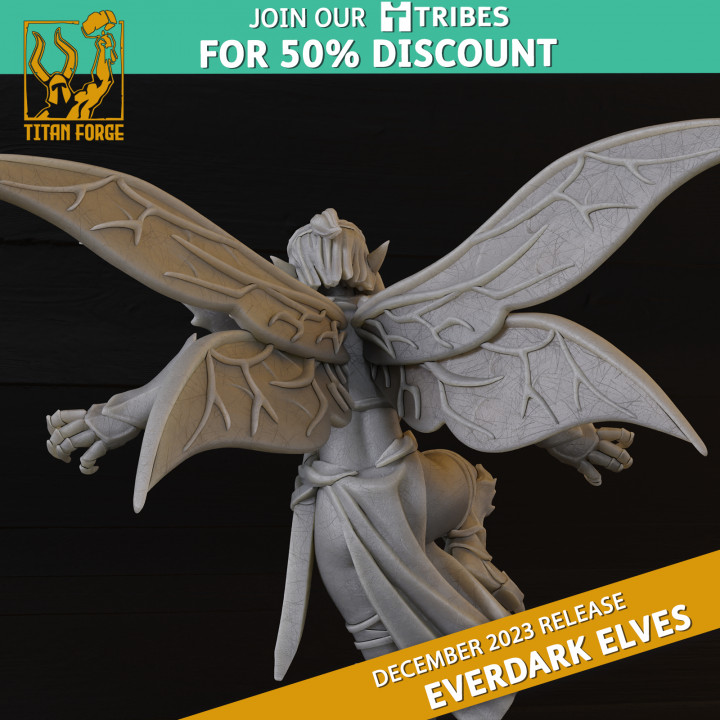 3D Printable Everdark Elves Flying Assassins by Titan Forge Miniatures