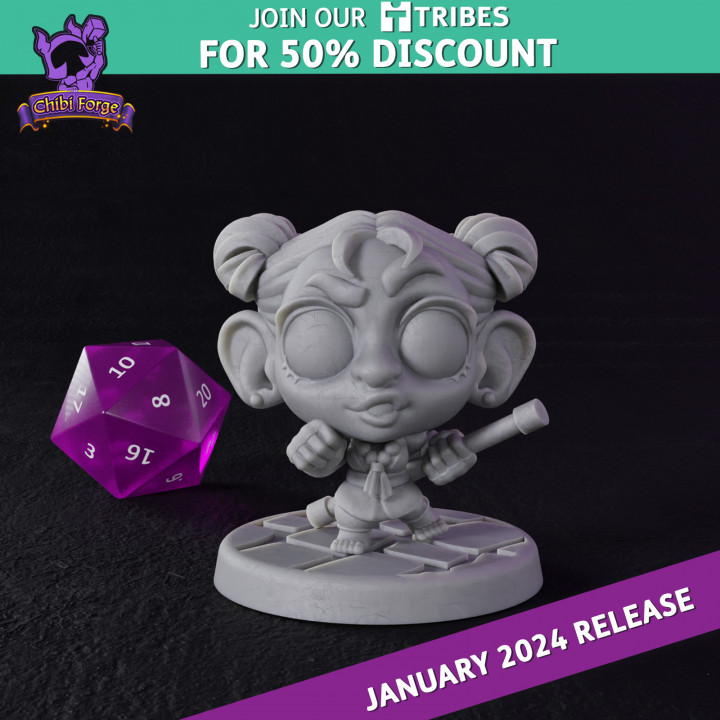 3D Printable Female Gnome Monk - Chibi Forge by Titan Forge Miniatures