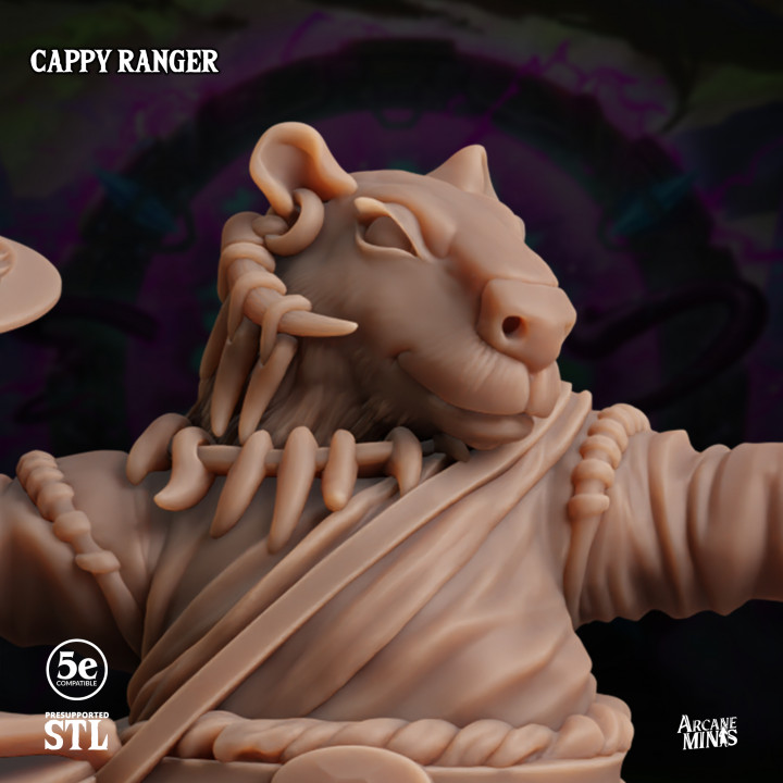 3D Printable Cappy Ranger, Sanda by Sordane Publishing