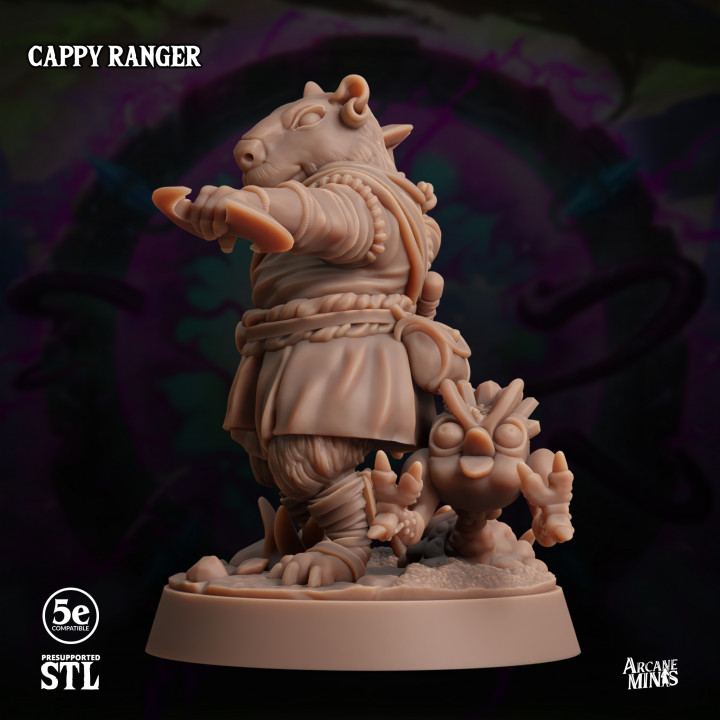 3D Printable Cappy Ranger, Sanda by Sordane Publishing