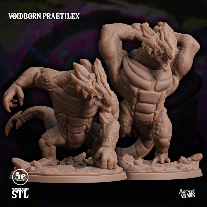 3D Printable Voidborn Praetilex by Sordane Publishing