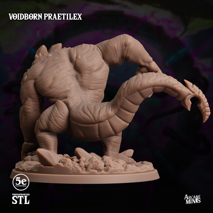 3D Printable Voidborn Praetilex by Sordane Publishing