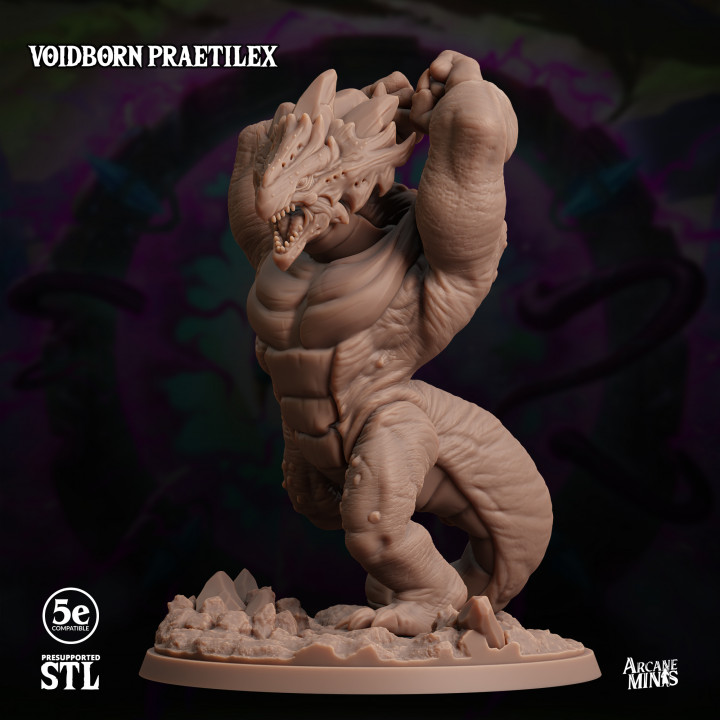 3D Printable Voidborn Praetilex by Sordane Publishing