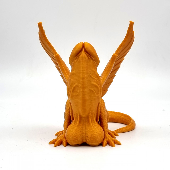 3D Printable Dicky Dragon 2 by iradj3d