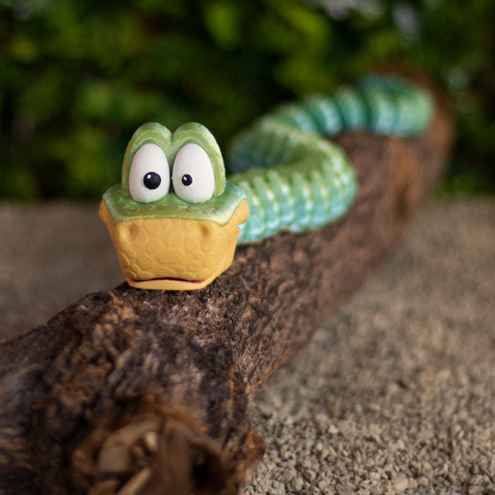 3D Printable SNAKE CARTOON, FLEXI, PRINT-IN-PLACE by Rogi Studios