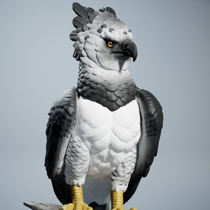 3D Printable Harpy Eagle by Art of V