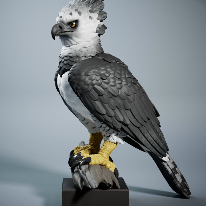3D Printable Harpy Eagle by Art of V