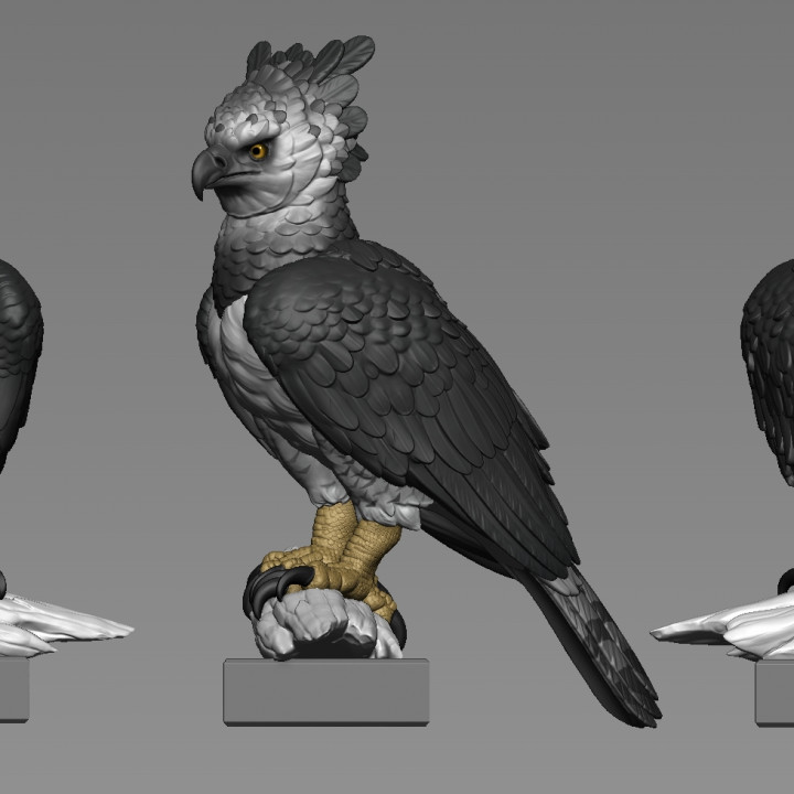 3D Printable Harpy Eagle by Art of V