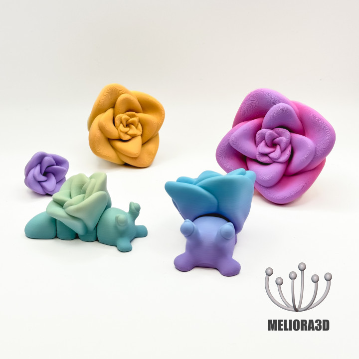 3D Printable M3D - Baby Rose Snail Bundle by Meliora3D