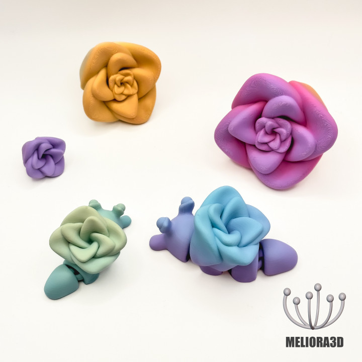 3D Printable M3D - Baby Rose Snail Bundle by Meliora3D