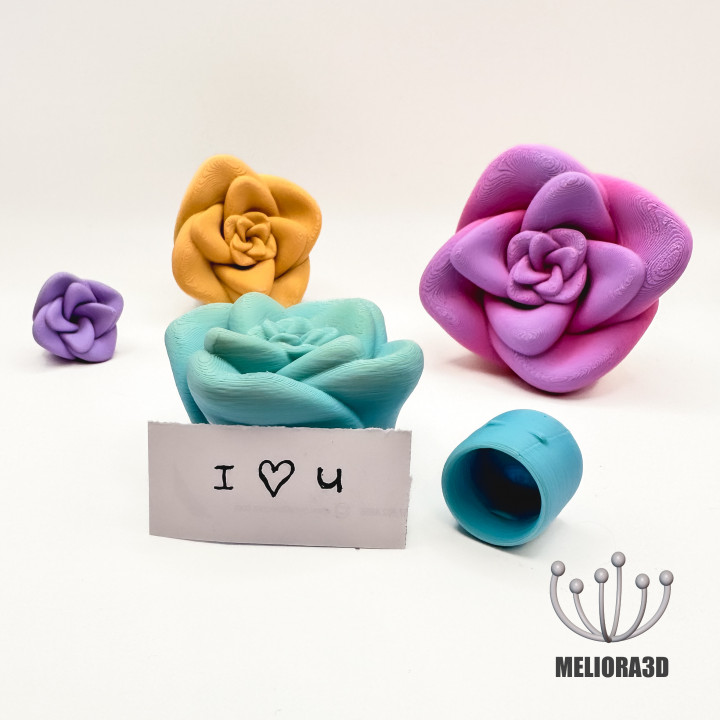3D Printable M3D - Baby Rose Snail Bundle by Meliora3D