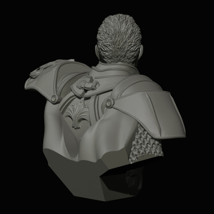 3D Printable Knight Captain of Cremation Bust by Marzbar-the-Creator