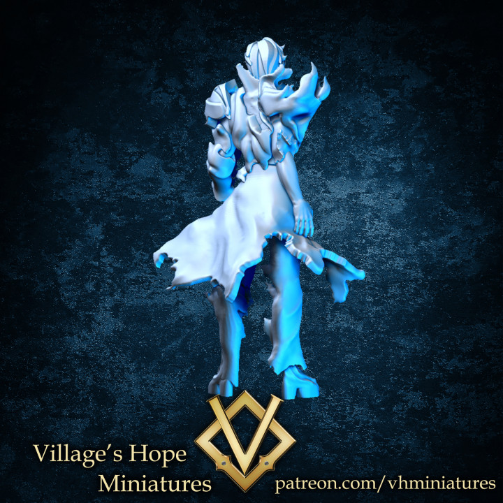 3D Printable Shadow Lord & Shadow lord in disguise by Village's Hope ...