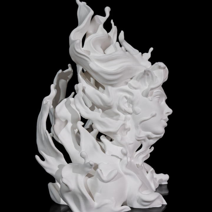 3D Printable Dichotomy by Stlflix