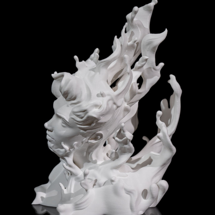 3D Printable Dichotomy by Stlflix