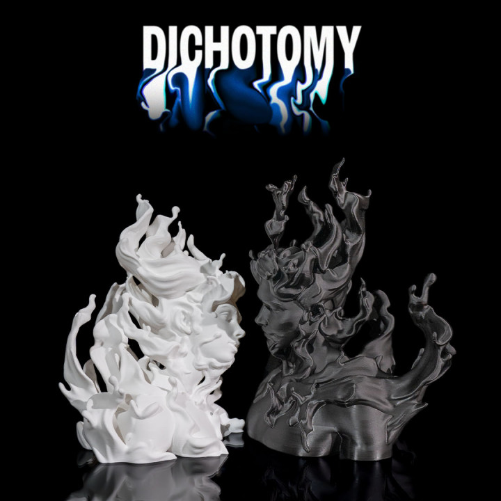 3D Printable Dichotomy by Stlflix