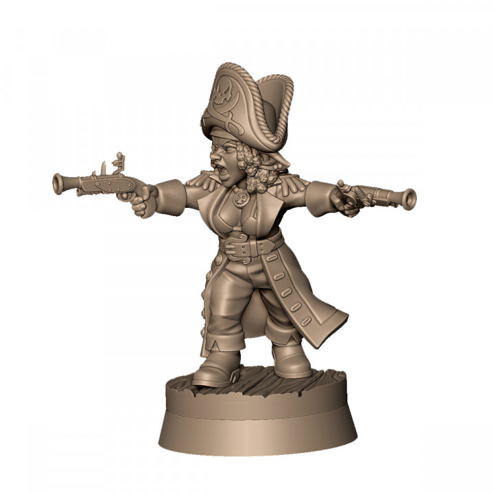 3D Printable female goblin pirate captain by Willy Kao