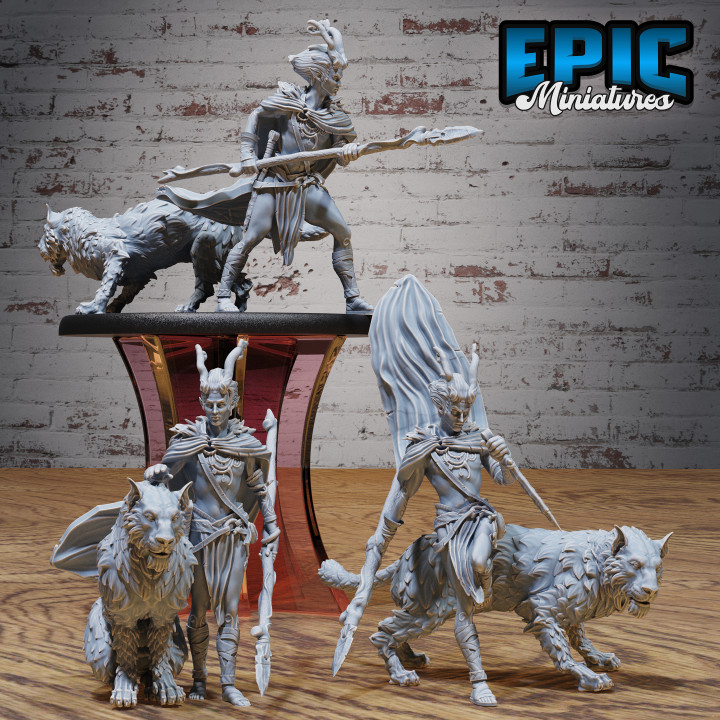3D Printable Elf Beast Tamer Set / Elvish Warrior / Nature Guard ...