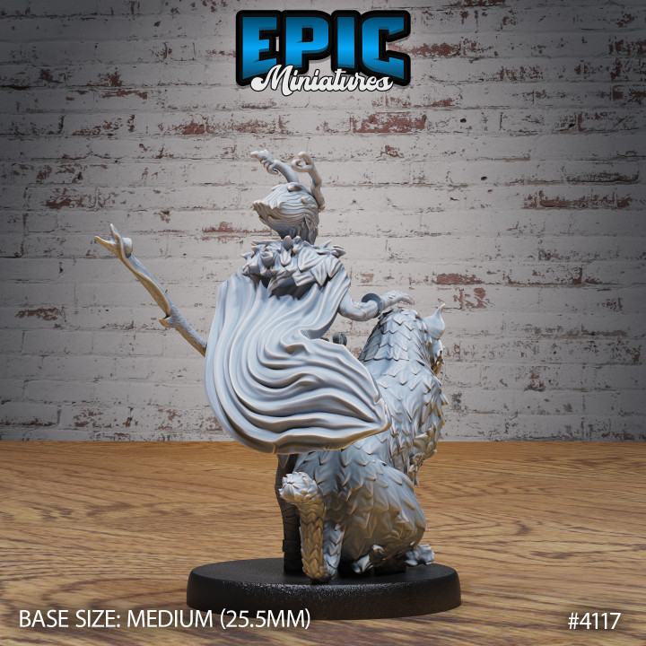 3D Printable Elf Beast Tamer Set / Elvish Warrior / Nature Guard ...