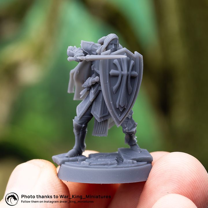 3D Printable Female Paladin with Shield and Sword [Supported] by ...