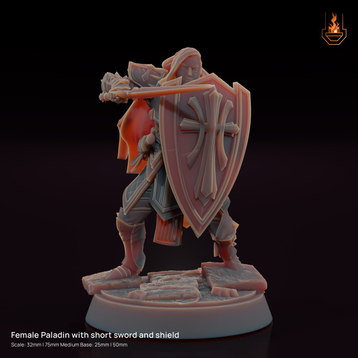3D Printable Female Paladin with Shield and Sword [Supported] by ...